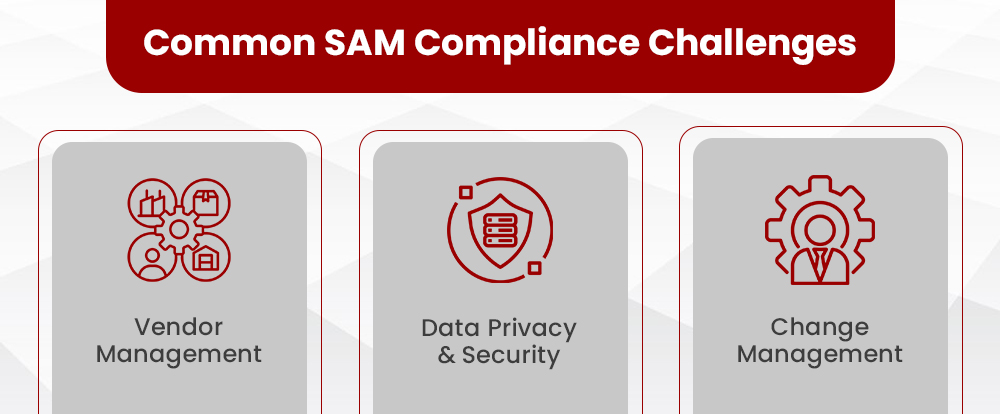ServiceNow SAM: Scaling Strategies for Seamless Compliance